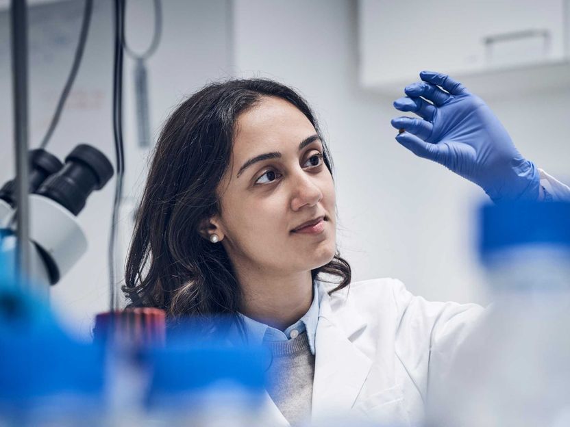 Intelligent wound dressing controls inflammation - ETH start-up is ...