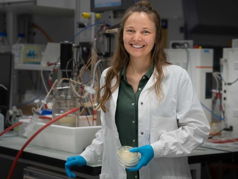 Bakterielle Fabriken als Schlüssel für klimafreundliche Chemie - ETH ...