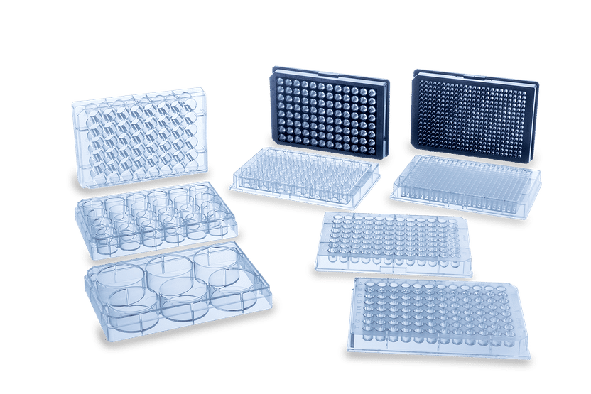 Magnetic 3D Cell Culturing – Simple and Effective Technology with Wide ...